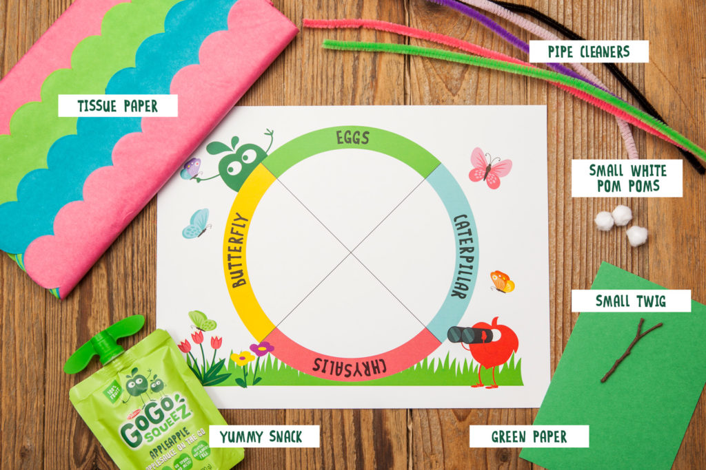 Butterfly Life Cycle Craft - GoGo squeeZ®