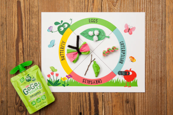 Butterfly Life Cycle Craft – GoGo squeeZ®